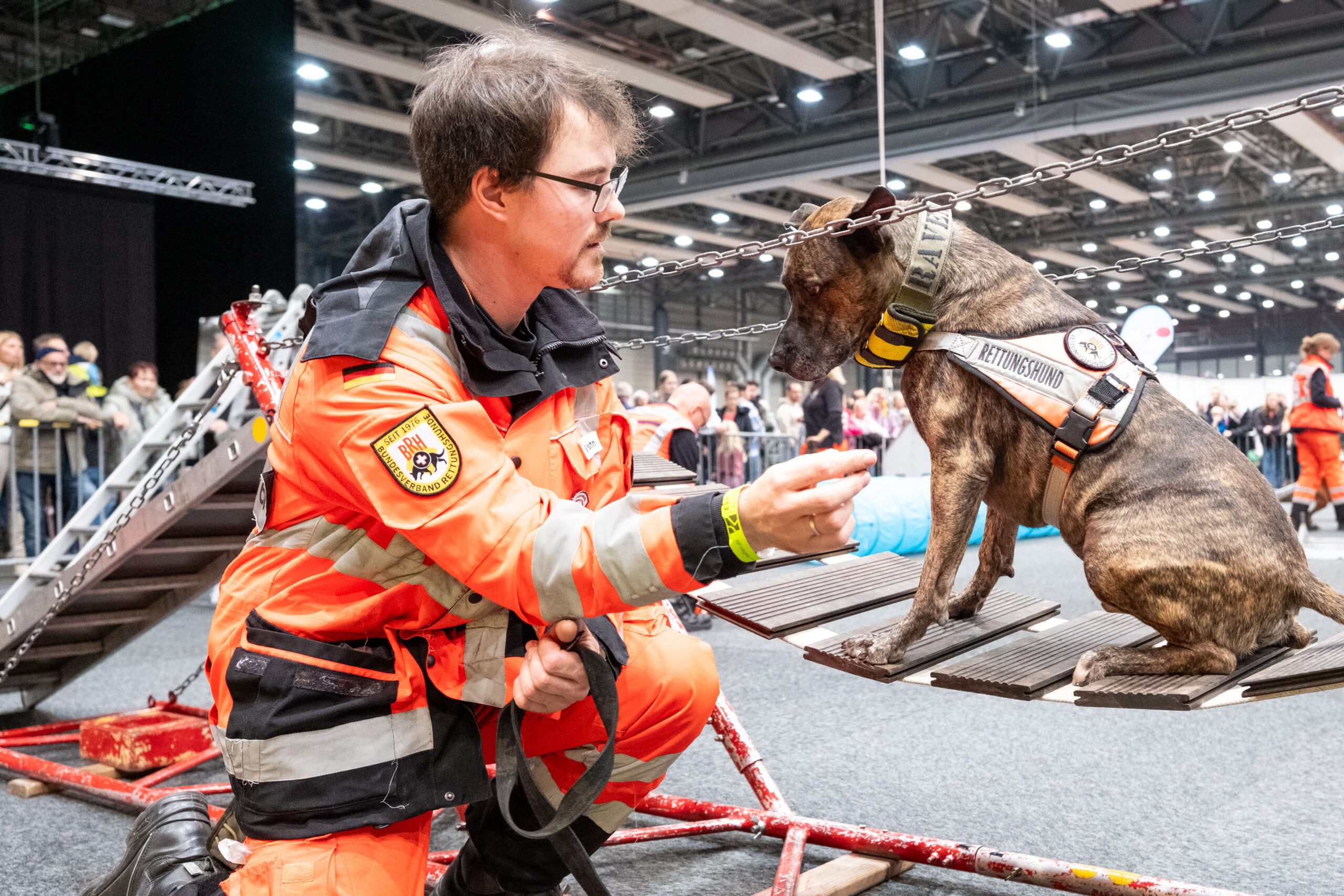 Das tierischste Event des Jahres begeistert einfach alle - HunteWeserNews.de